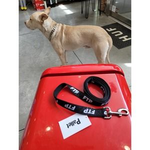 FTP | Art | Ftp Dog Leash | Poshmark